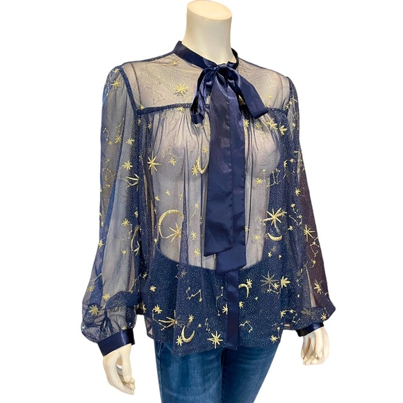 Endless Rose | Tops | New Embroidered Constellation Sheer Chiffon And ...